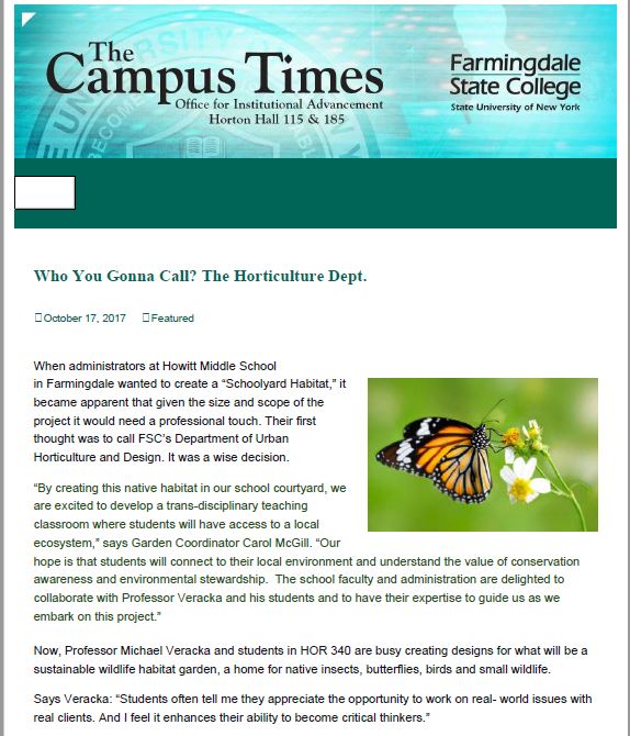 Teaching and Curriculum Development – Michael Veracka