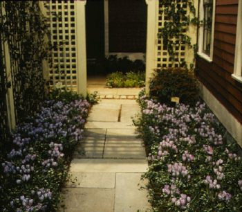 homepage_test – Michael Veracka