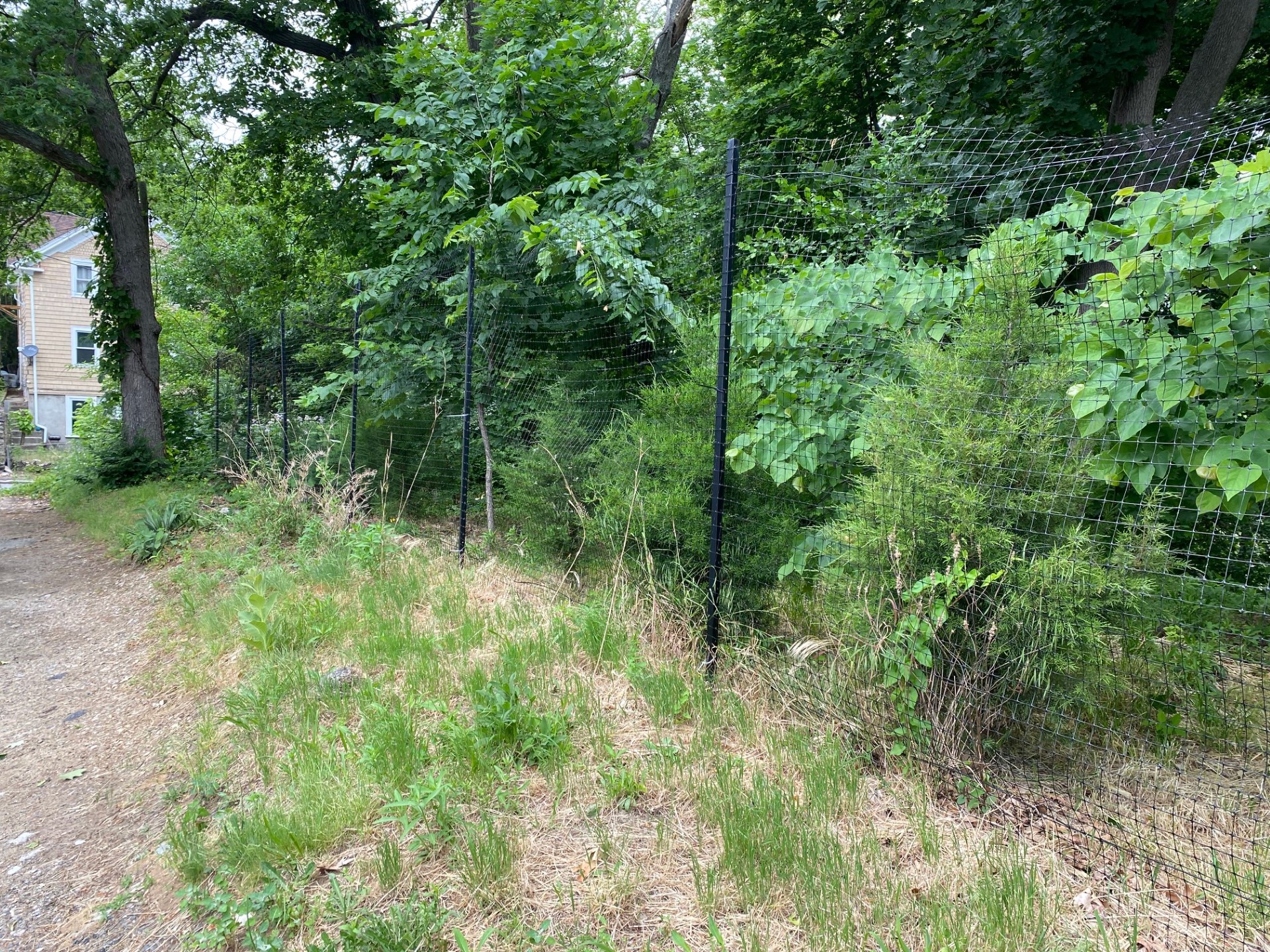 My Forty Year Love Affair with Providence is Over – Michael Veracka